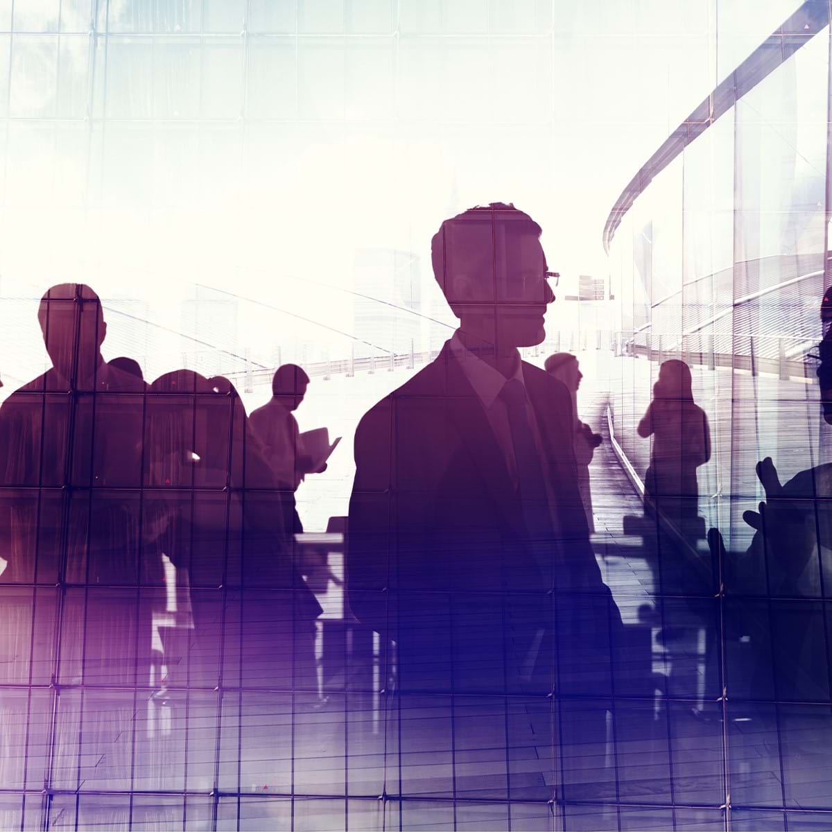 Vincent Bouchard, admin. de programmes de financements